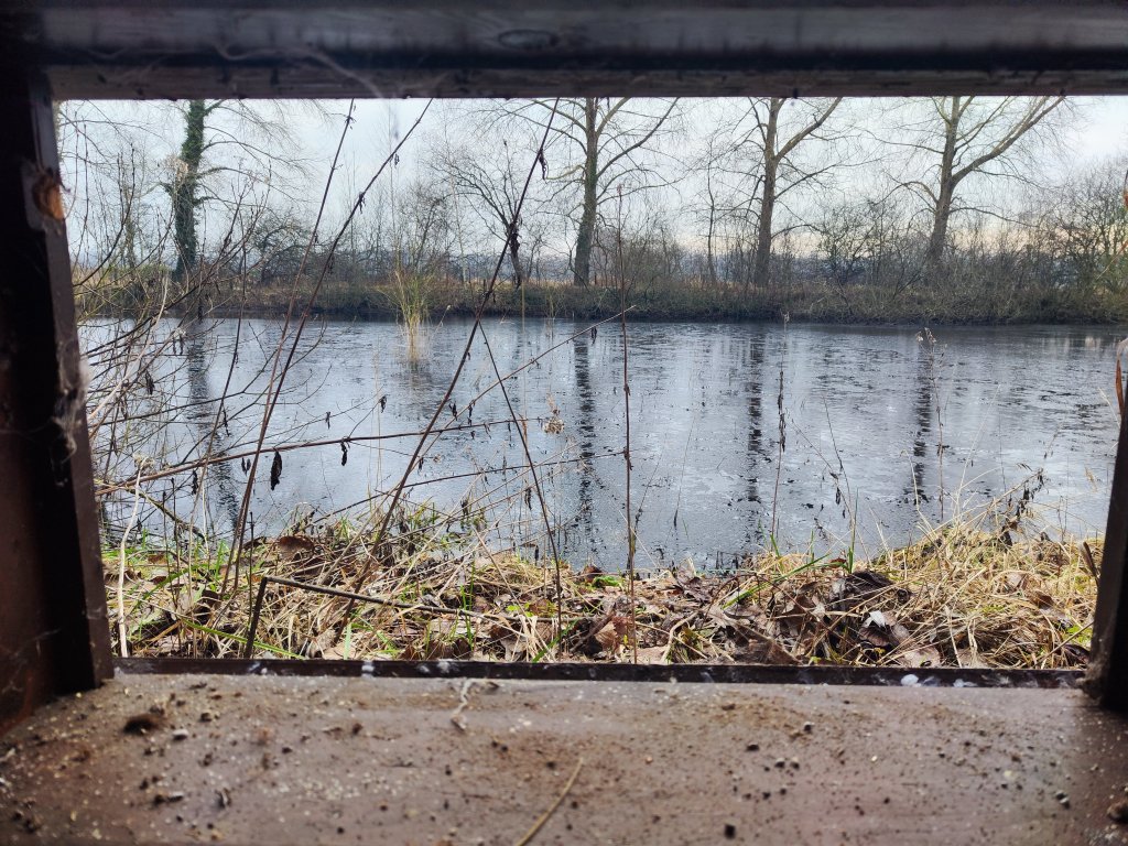 Terrain de loisirs avec étang et hutte de chasse - MERLIMONT - 126 000 ...